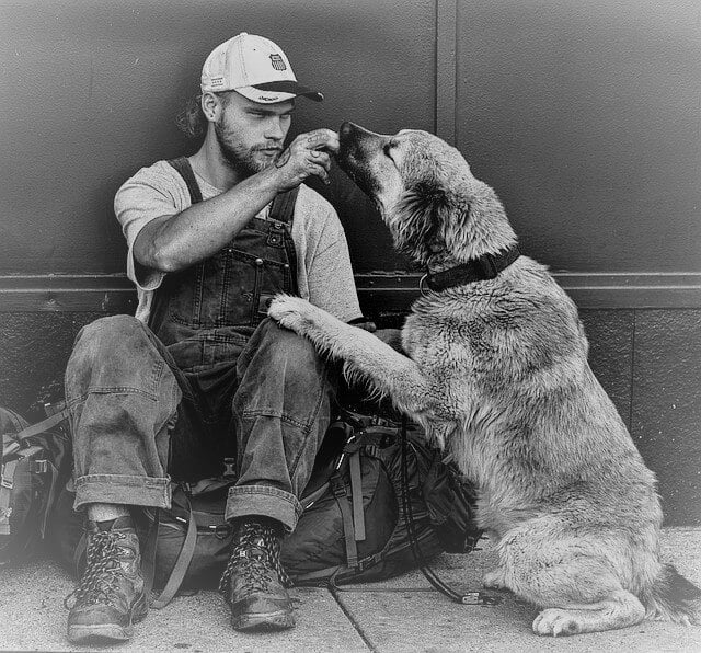 Houselessness vs. Homelessness: Changing the Narrative With Furry ...