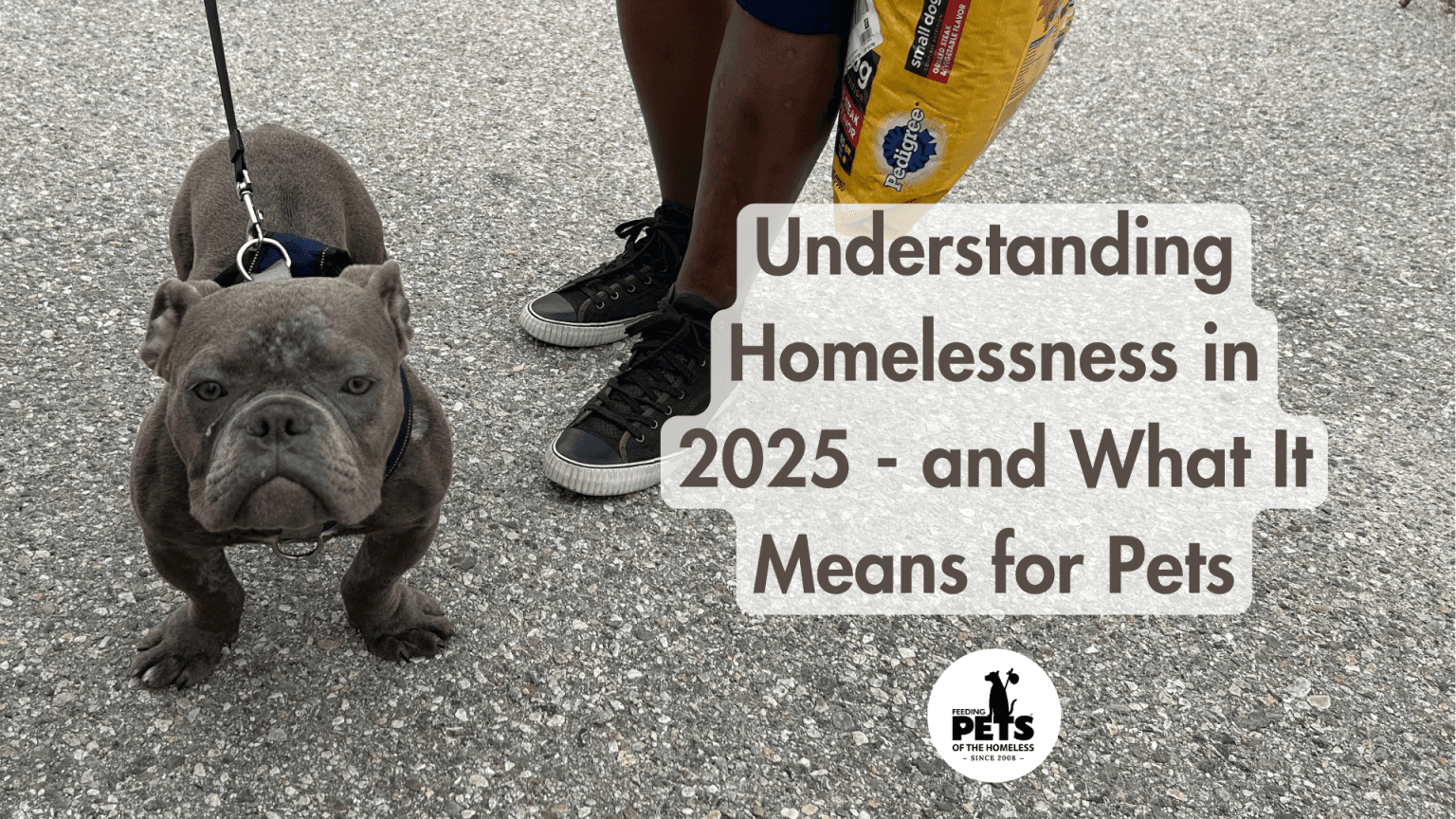 Understanding Homelessness in 2025 - and What It Means for Pets | Pets ...
