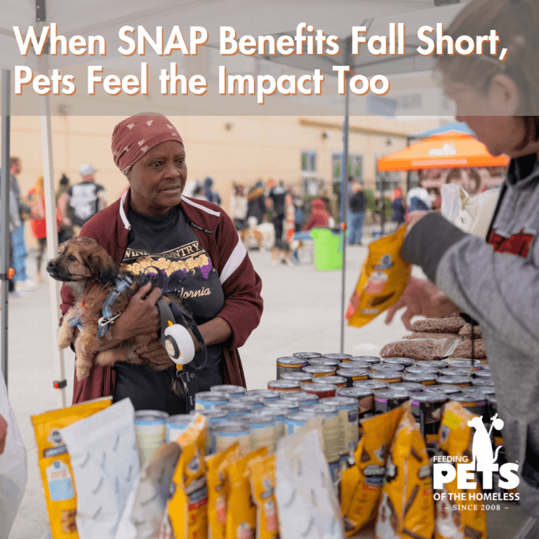 When SNAP Benefits Fall Short, Pets Feel the Impact Too | Pets of the ...